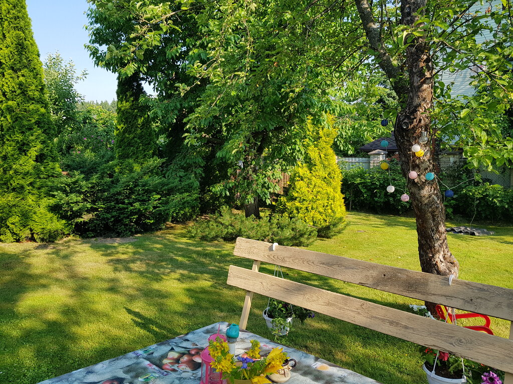 Bahçecilik dernekleri ve kuruluşları Sadovodcheskoye tovarishchestvo Ekonomist-1, Minskaya oblastı, foto