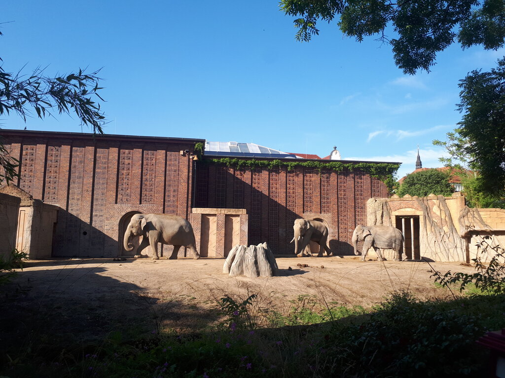 Hayvanat bahçeleri Leipzig Zoological Garden, Leipzig, foto