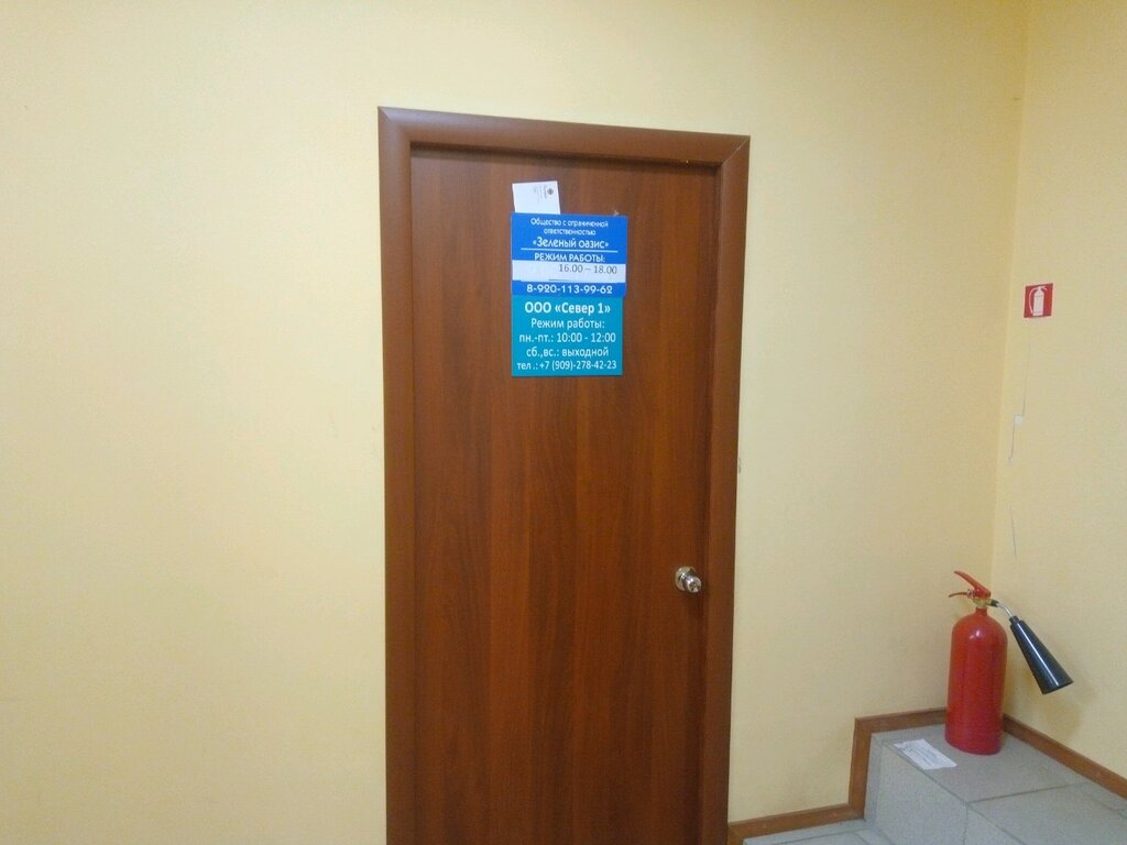 Temizlik şirketleri Зеленый оазис, Yaroslavl, foto