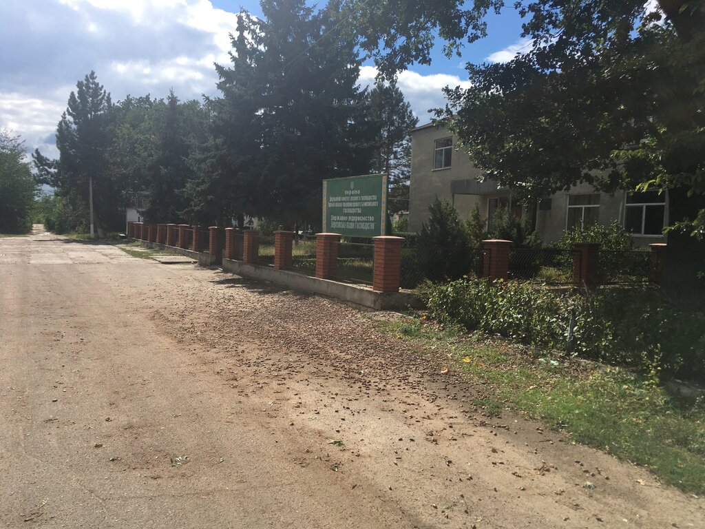 Orman işleri Березовский гослесхоз, Odessa Bölgesi, foto