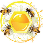 Honey And Bee Products (2-y pereulok Michurina No:5), bal ve arıcılık firmaları  Roslavl'dan