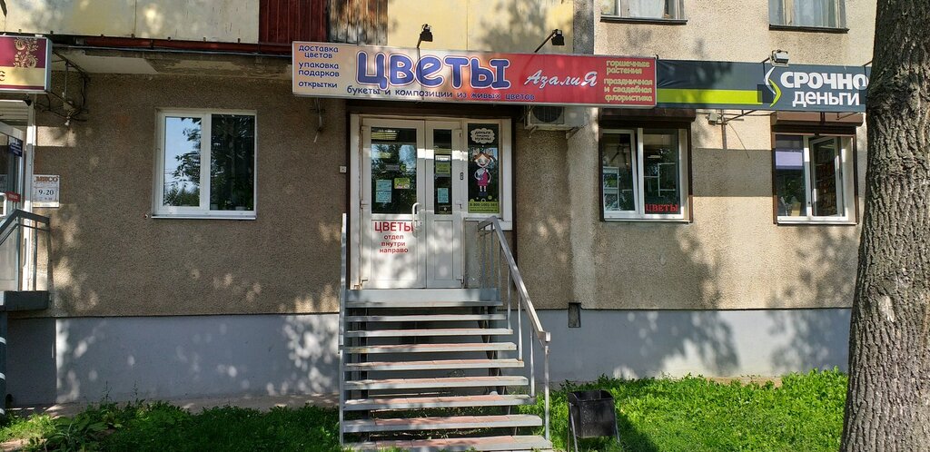 Mikrofinans Srochnodengi, Vladimir, foto