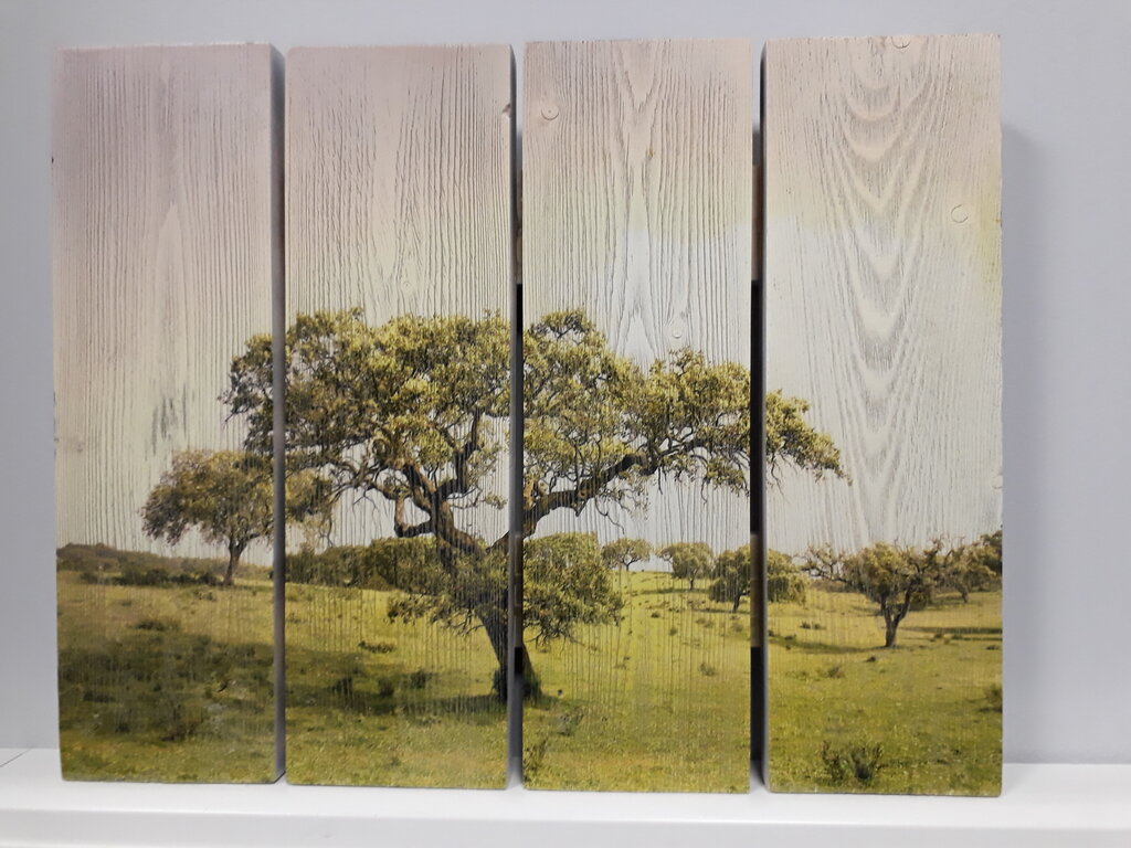 Baskı hizmetleri Alterrprint, Moskova ve Moskovskaya oblastı, foto