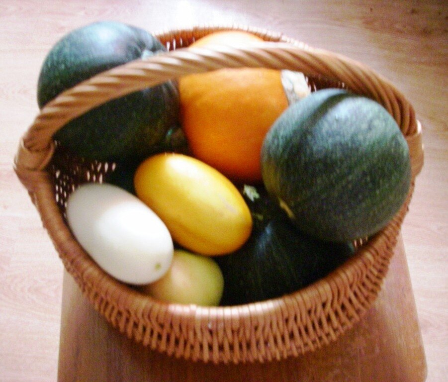 Emlak ofisi ИП Павлова Ирина Анатольевна, Krasnodarski krayı, foto