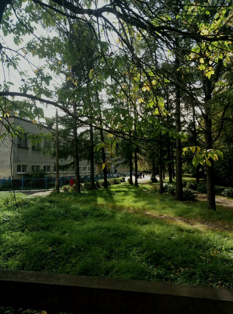 Yatırım fonu firmaları StartAp fond, Tver, foto