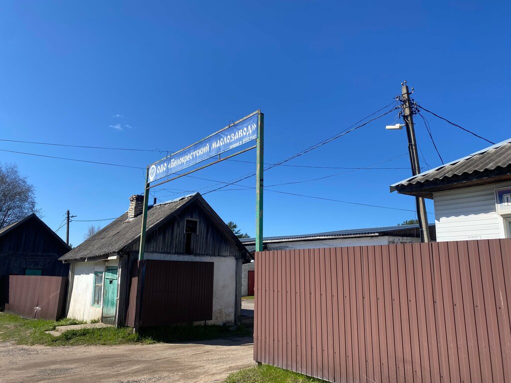Toptan süt ürünleri Otkrytoye aktsionernoye obshchestvo Belokrestsky maslozavod, Vologodskaya oblastı, foto