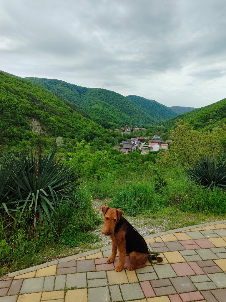 Otel Дачный домик под ключ Прасковеевке, Krasnodarski krayı, foto