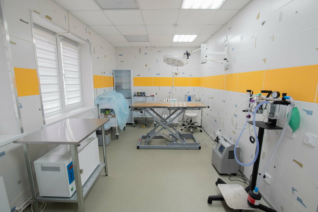Veteriner klinikleri Lyubimcy, Nijni Novgorod, foto