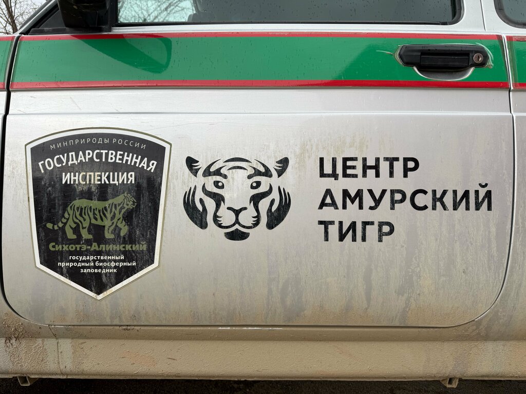 Müzeler ve sanat galerileri Информационный центр охраны природы, Primoriye, foto