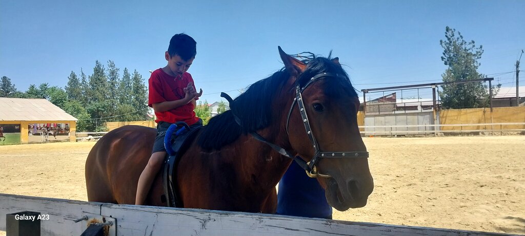 At ve binicilik kulüpleri Samarkand Region National Guard Riding School, Semerkant, foto