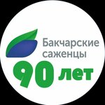 Бакчарские саженцы (Sadovy pereulok No:1, village Bakchar), fidan yetiştiriciliği  Tomskaya oblastından
