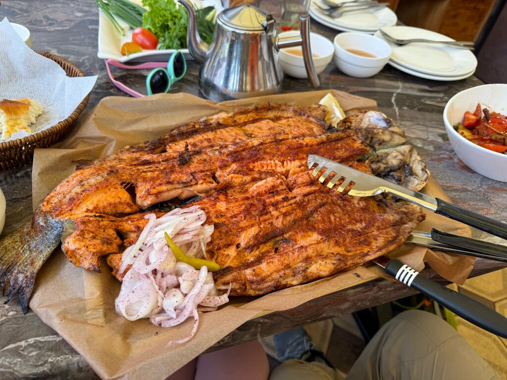 Kafe Taimen Fish, Çuy ili, foto