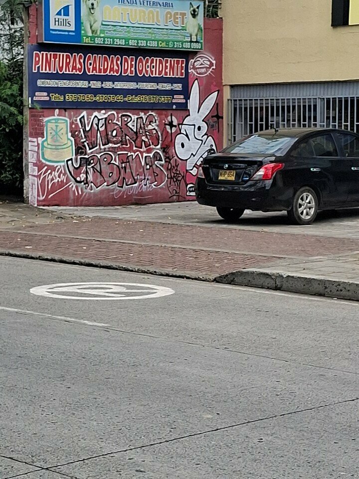 Boya ve cila malzemeleri üretim ve satış yerleri Pinturas caldas de occidente, Cali, foto