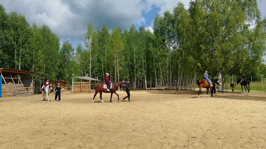 At ve binicilik kulüpleri Кавалетти, Nijegorodskaya oblastı, foto