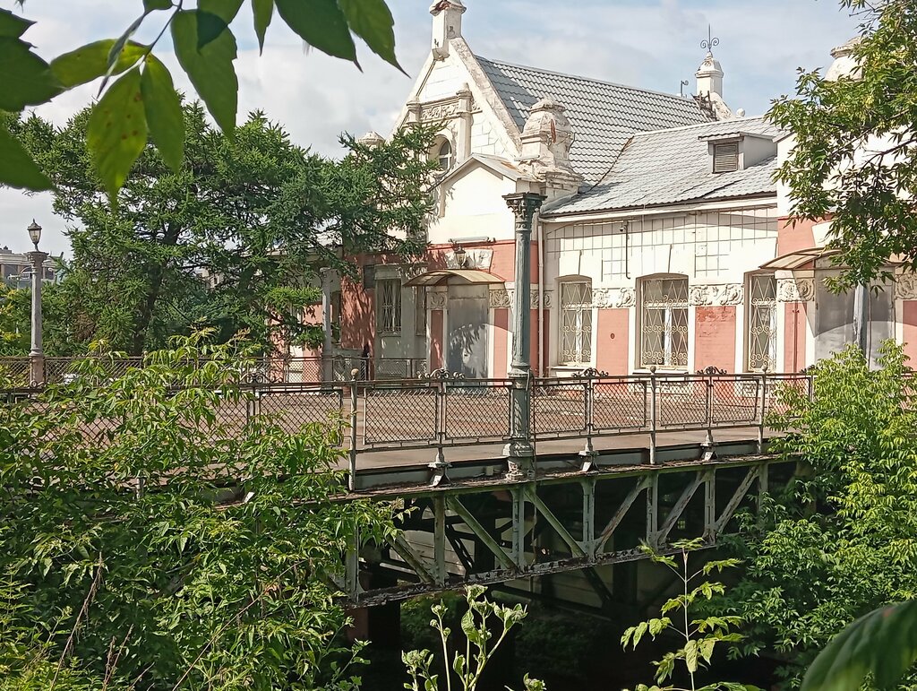 Turistik yerler Исторический пешеходный мост от вокзала к платформе, Moskova, foto