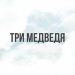 Три Медведя (4-y Petrovskiy pereulok No:2/4, derevnya Krugloye), resort oteller, tesisler  Çeliabinskaya oblastından