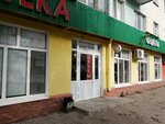 Цветы (Tallinskaya ulitsa No:14), çiçekçiler  Ufa'dan