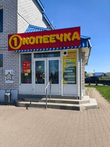 Elektronik sigara satış noktaları Shishkashop.by, Shklov, foto