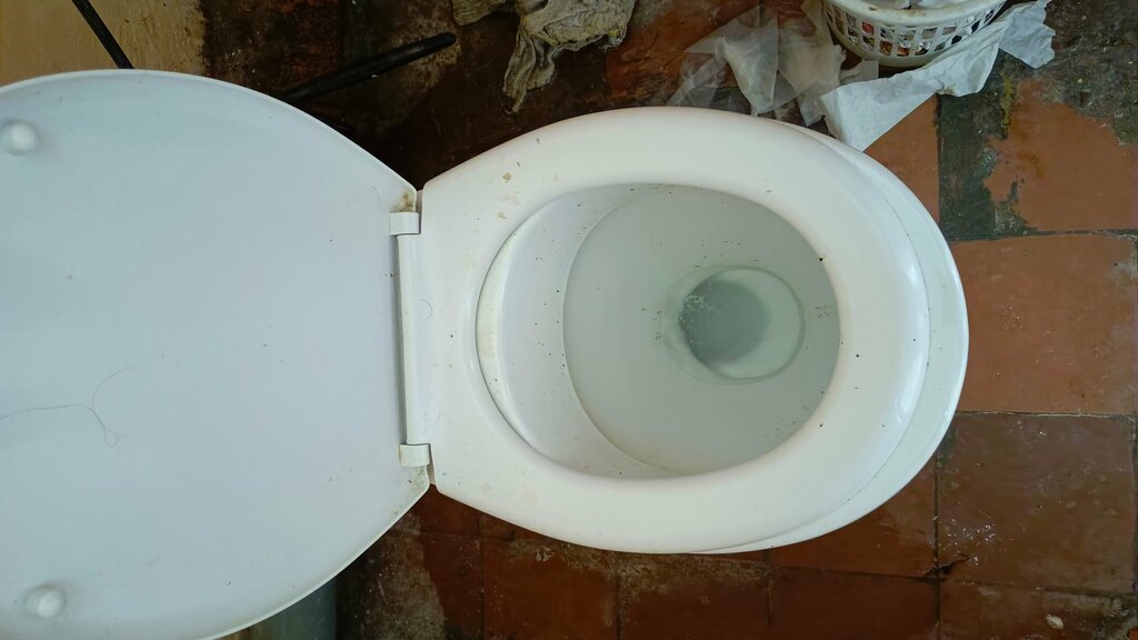 Konut servisleri kuruluşları Zhilishchno Kommunalnoye Khozyaystvo pos. Solnechny, Krasnoyarski krayı, foto
