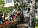Овощи и фрукты (Budapeshtskaya Street No:14к1), manavlar  Saint‑Petersburg'dan