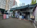 Женская одежда (Atarbekova Street No:1, Festivalny mikrorayon), giyim mağazası  Krasnodar'dan