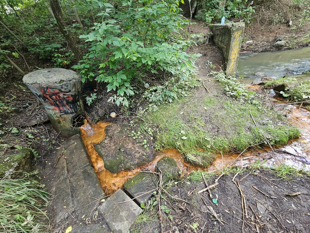 Pınar, çay Spring, stream, Moskova, foto