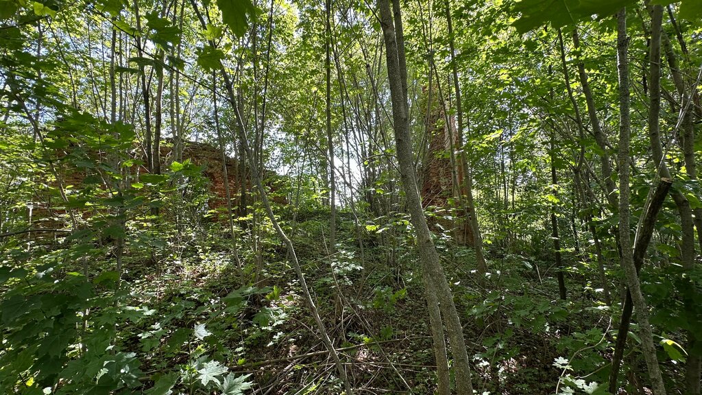 Turistik yerler Руины Спасо-Преображенской Церкви, Mogiliovskaya oblastı, foto