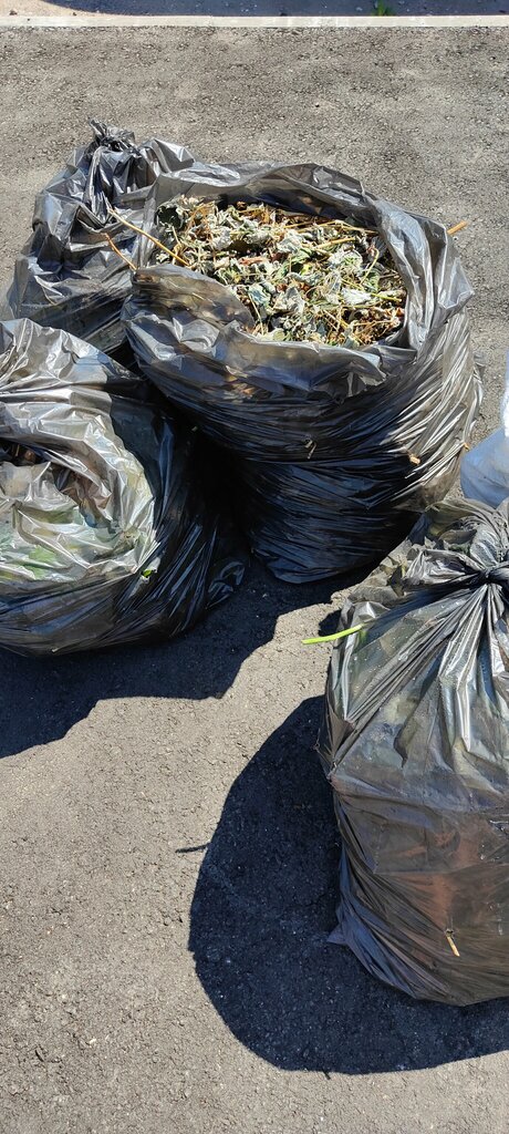 Geri dönüşüm merkezleri Экология, Novokuybyşevsk, foto