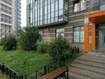 Цифровые технологии (Kushelevskaya doroga No:3к2), yönetim ofisi  Saint‑Petersburg'dan