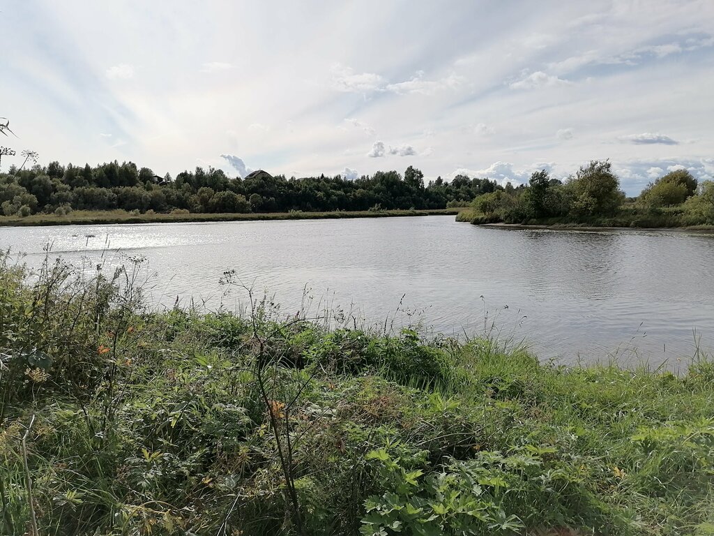 Piknik alanı Место для пикника, Arhangelskaya oblastı, foto