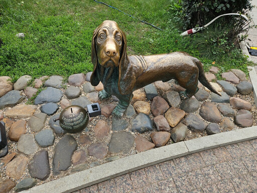 Park, sokak heykeli Котам и собакам, пострадавшим от автомобилей, Kostroma, foto