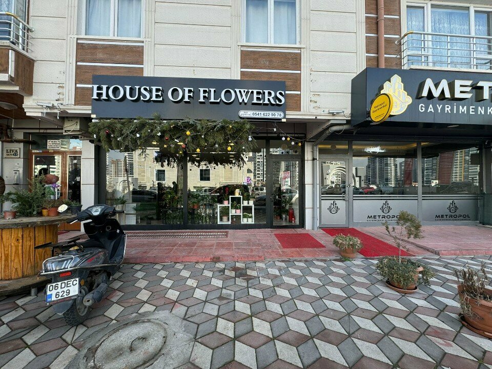 Çiçekçiler House Of Flowers, Ankara, foto