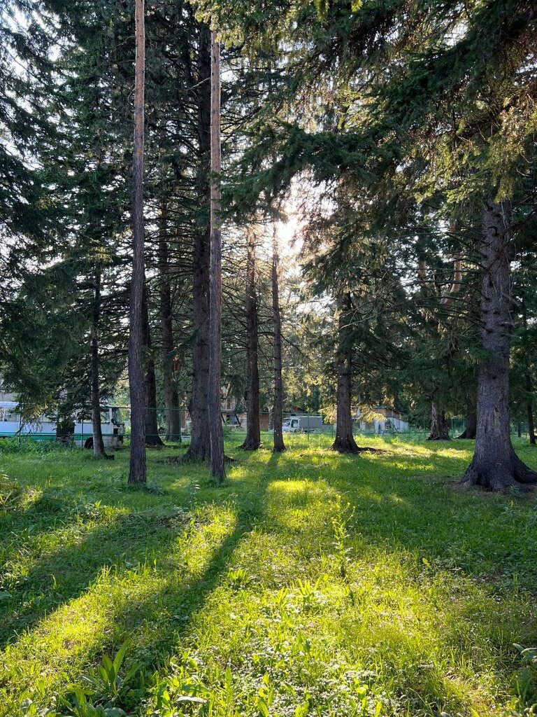 Yaz kampı Космос, , foto