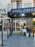 Konyaaltı Çiçek (Antalya, Konyaaltı, Atatürk Blv., 35D), çiçekçiler  Antalya'dan