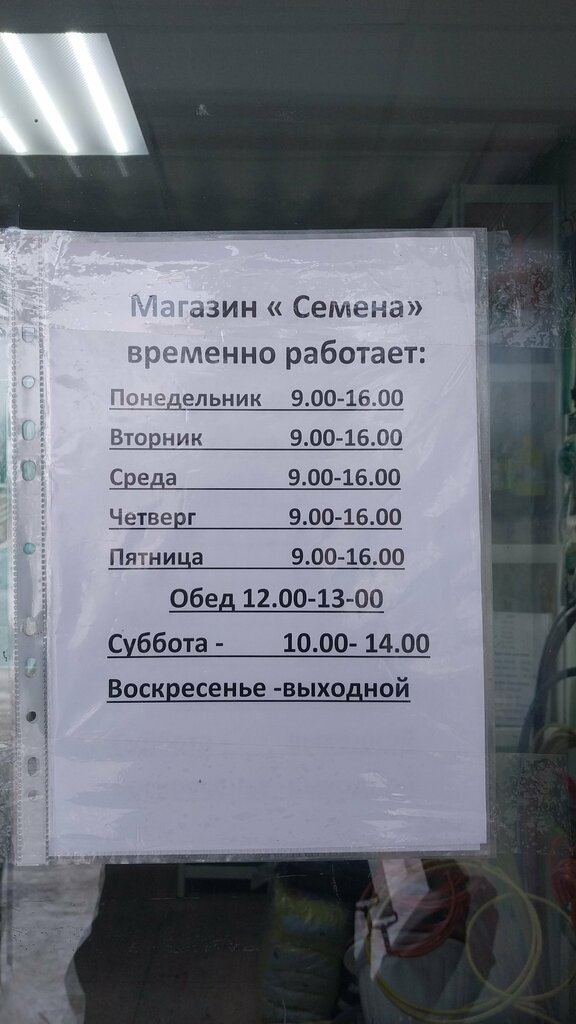 Tohum satan yerler Amursortsemovoshch, Blagoveshchensk, foto