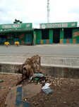 Shakaina Supermarket (Lusaka, Mapepe Road), süpermarket  Lusaka'dan