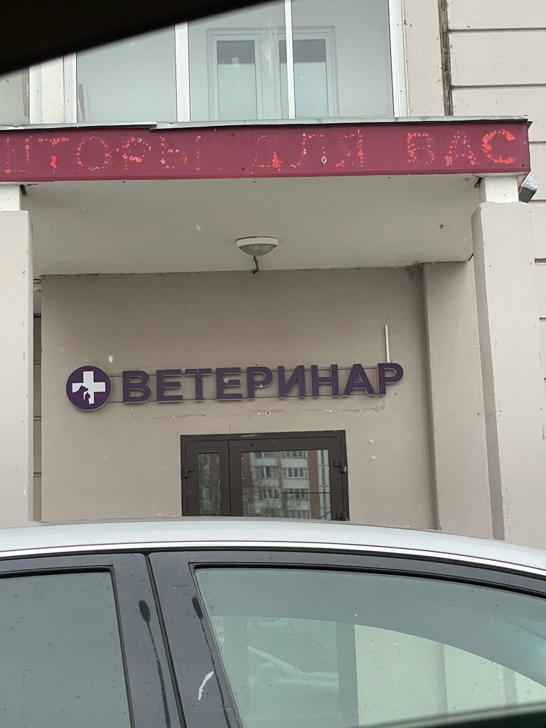 Evcil hayvan kuaförleri Мохнатка, Moskova, foto