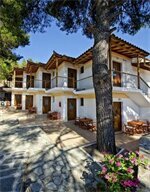 Otel Pine Trees, Dünya, foto