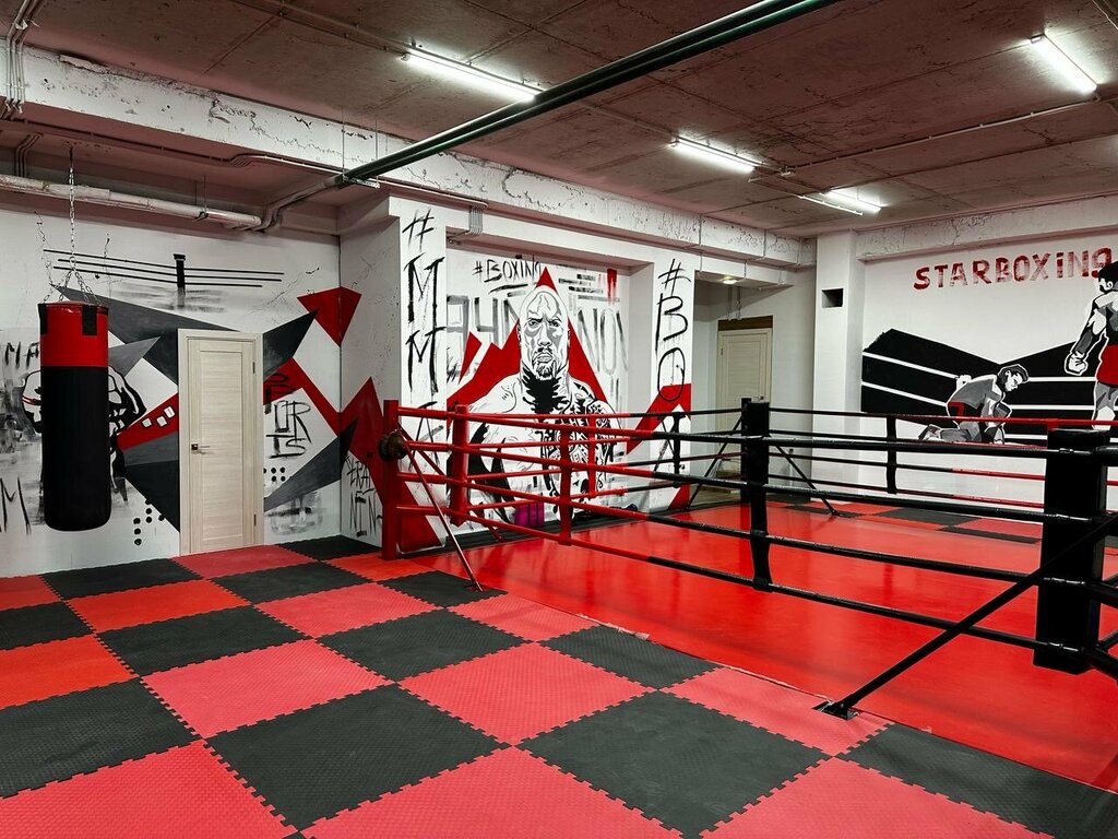Spor kulüpleri Star Boxing, Moskova, foto