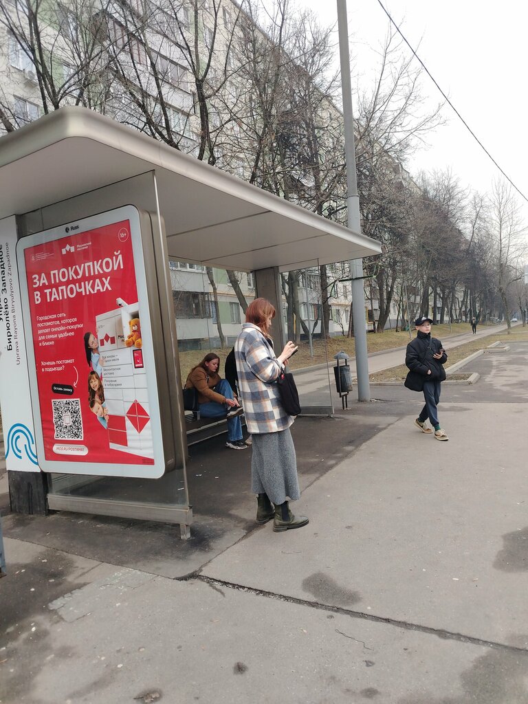 Toplu taşıma durağı Biryulevo-Zapadnoye District Administration, Moskova, foto