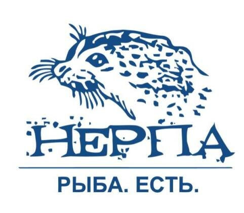 Balık ve deniz ürünleri Нерпа, Dzerjinsk, foto