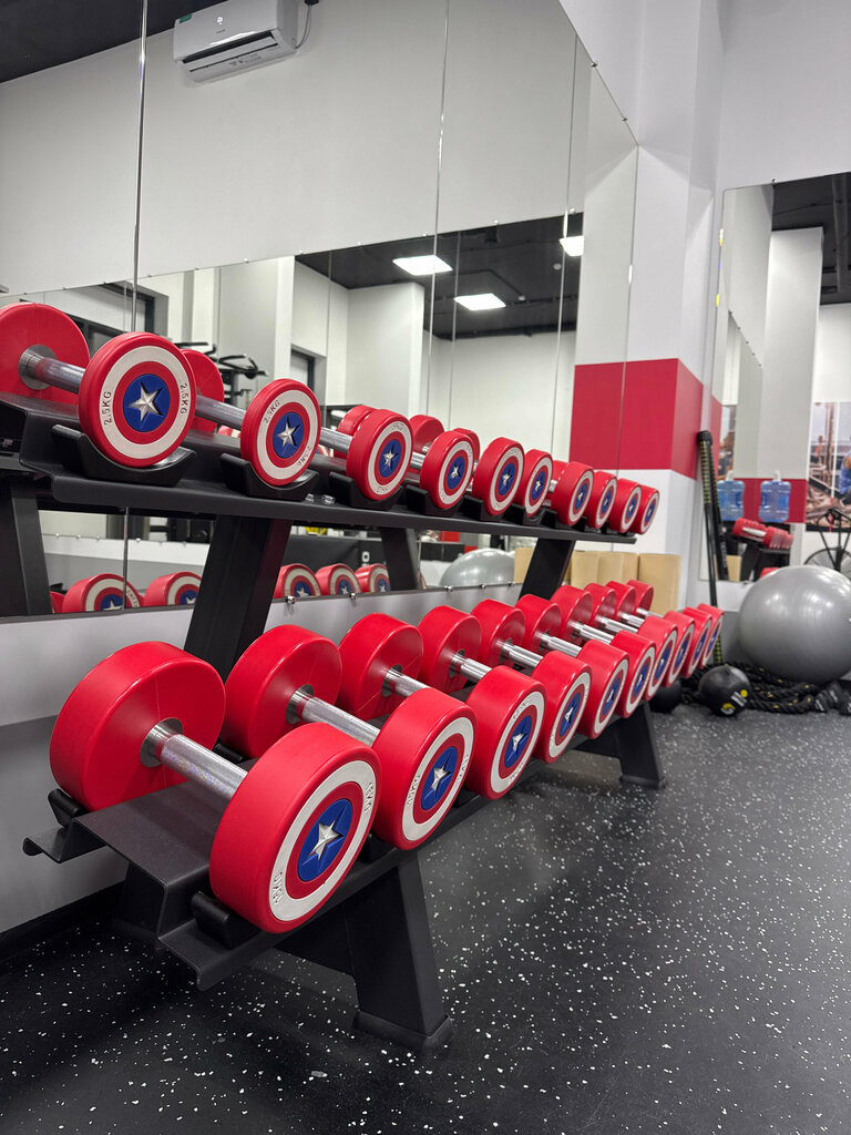 Fitness kulüpleri ProArt-Fit, Moskova ve Moskovskaya oblastı, foto