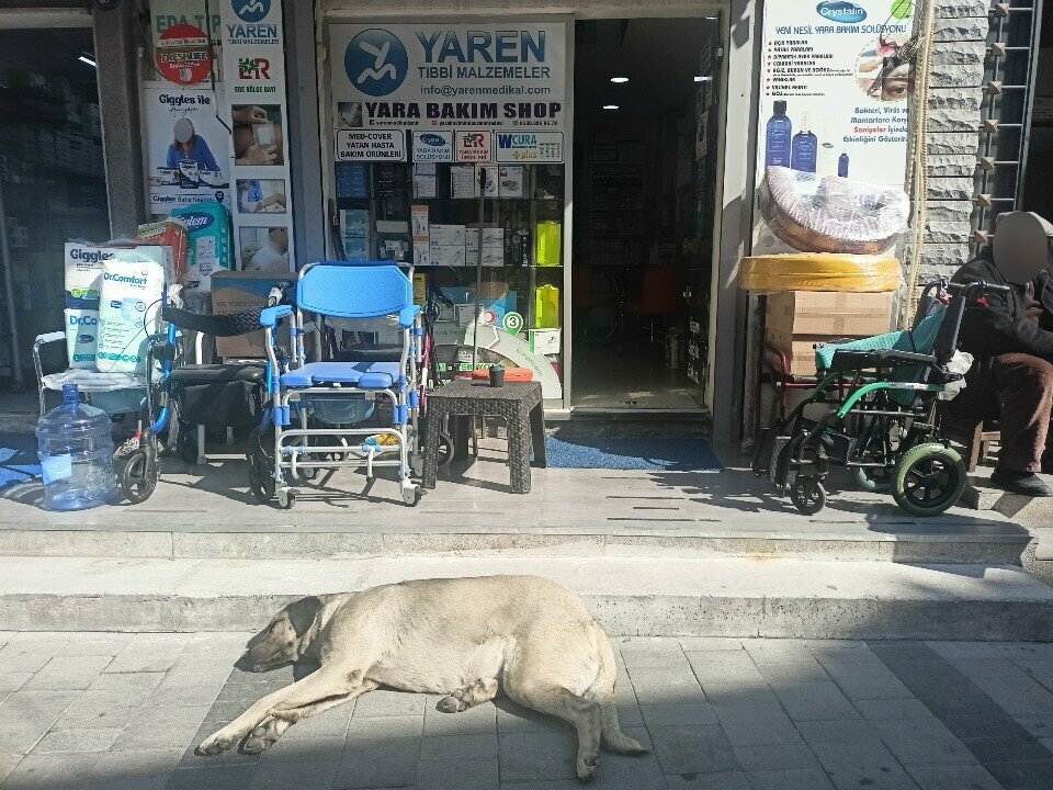 Sağlık kontrolleri Yara Bakım Shop, İzmir, foto