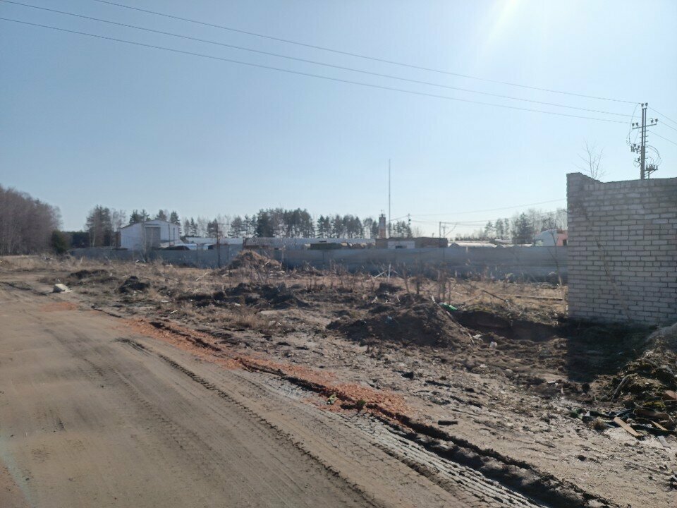 Kerestecilik, ağaç satışı Mir lesa, Yaroslavskaya oblastı, foto