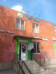 Телесный психотерапевт (Atarbekova Street No:33/1, Festivalny mikrorayon), psikologlar  Krasnodar'dan