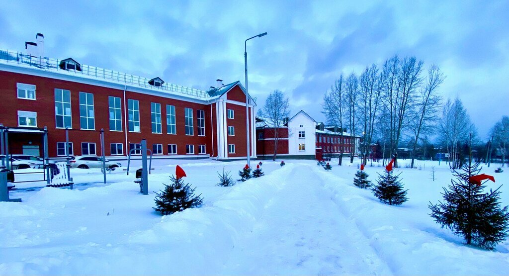 Ortaokul Srednyaya shkola Sela Taraskovo Mou, Sverdlovskaya oblastı, foto