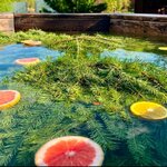 Улет (May 1 Avenue No:14, Vostryakovo Subdistrict), hamamlar  Domodedovo'dan