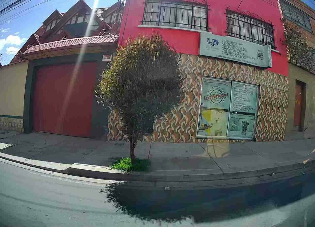 Kuaförler Los Pintudos SPA and Pet Aesthetics, La Paz, foto