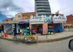 Hair Salon (Department of La Paz, Provincia Murillo, El Alto, Cordillera de los Andes, 2011), mini-market  El Alto'dan