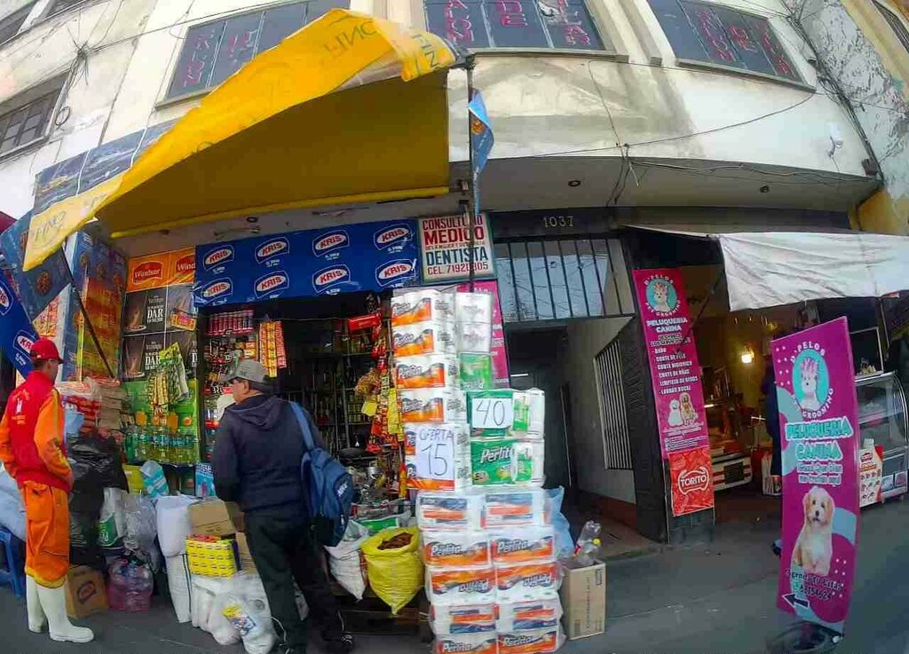 Evcil hayvan kuaförleri D'Pelos Peluquería Canina, La Paz, foto